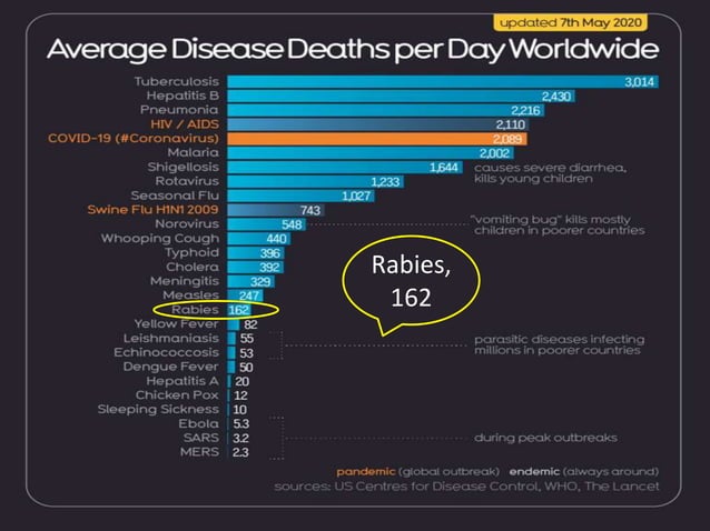 Rabies: The Most Fatal Disease.pptx