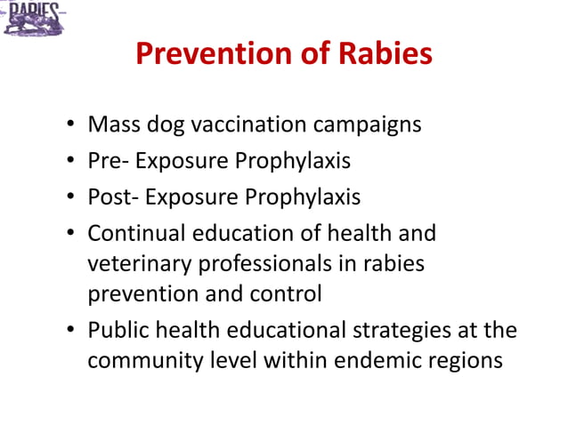 Rabies: The Most Fatal Disease.pptx