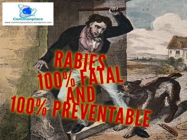 Rabies: The Most Fatal Disease.pptx