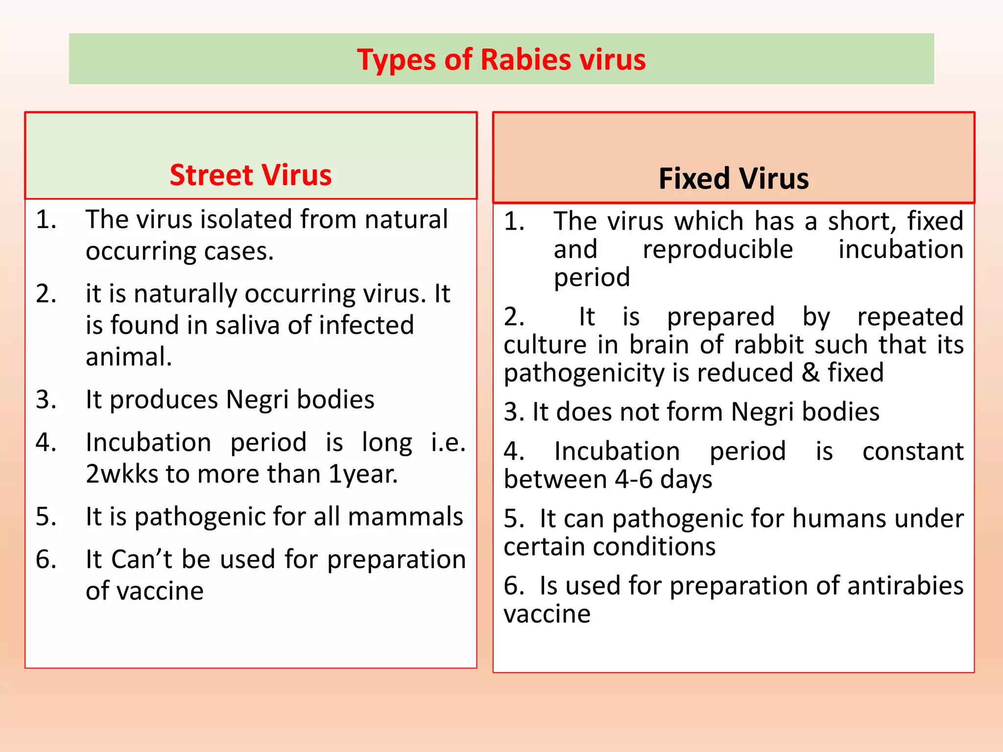 RABIES.pptx