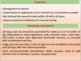 RABIES.pptx