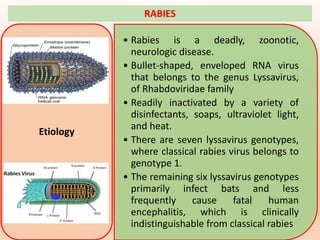 RABIES.pptx
