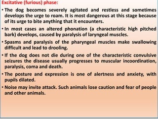 RABIES.pptx
