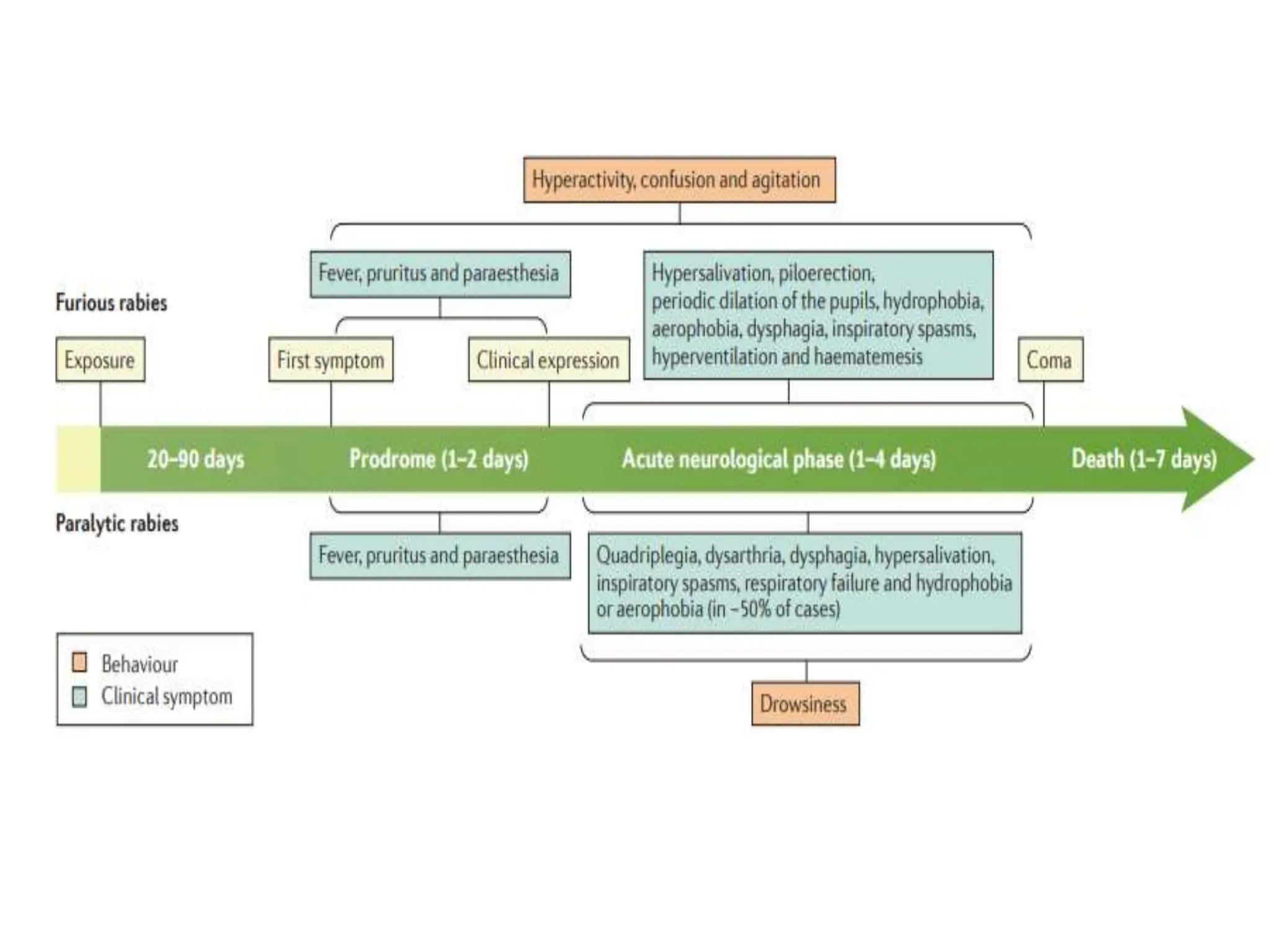 Rabies Pptx Epidemiology Pathophysiology Clinical Features And