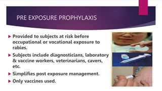 Rabies.pptx
