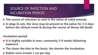 Rabies.pptx
