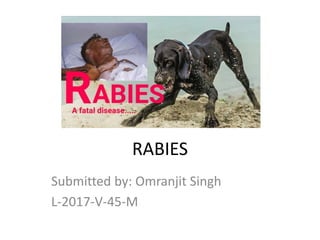 Effect of rabies on human regarding health and safety | PPT