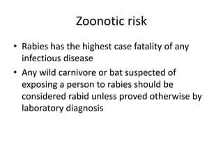 Effect of rabies on human regarding health and safety | PPT