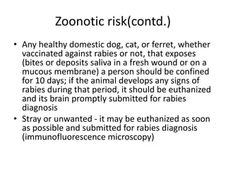 Effect of rabies on human regarding health and safety | PPT