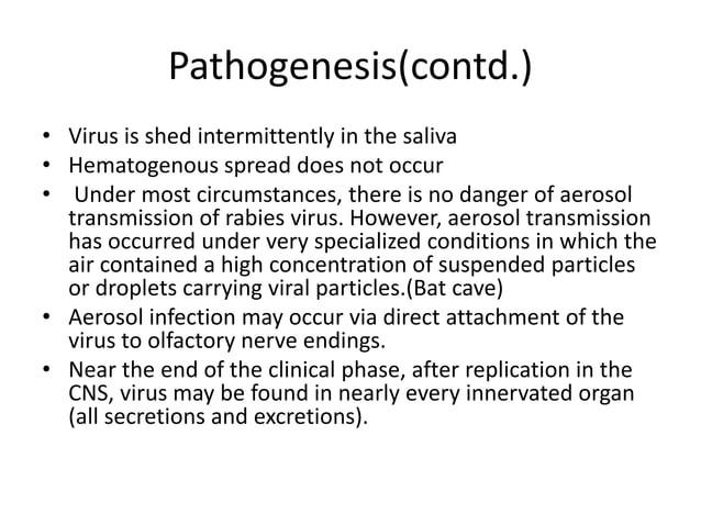 Effect of rabies on human regarding health and safety | PPT