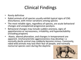 Effect of rabies on human regarding health and safety | PPT