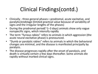 Effect of rabies on human regarding health and safety | PPT