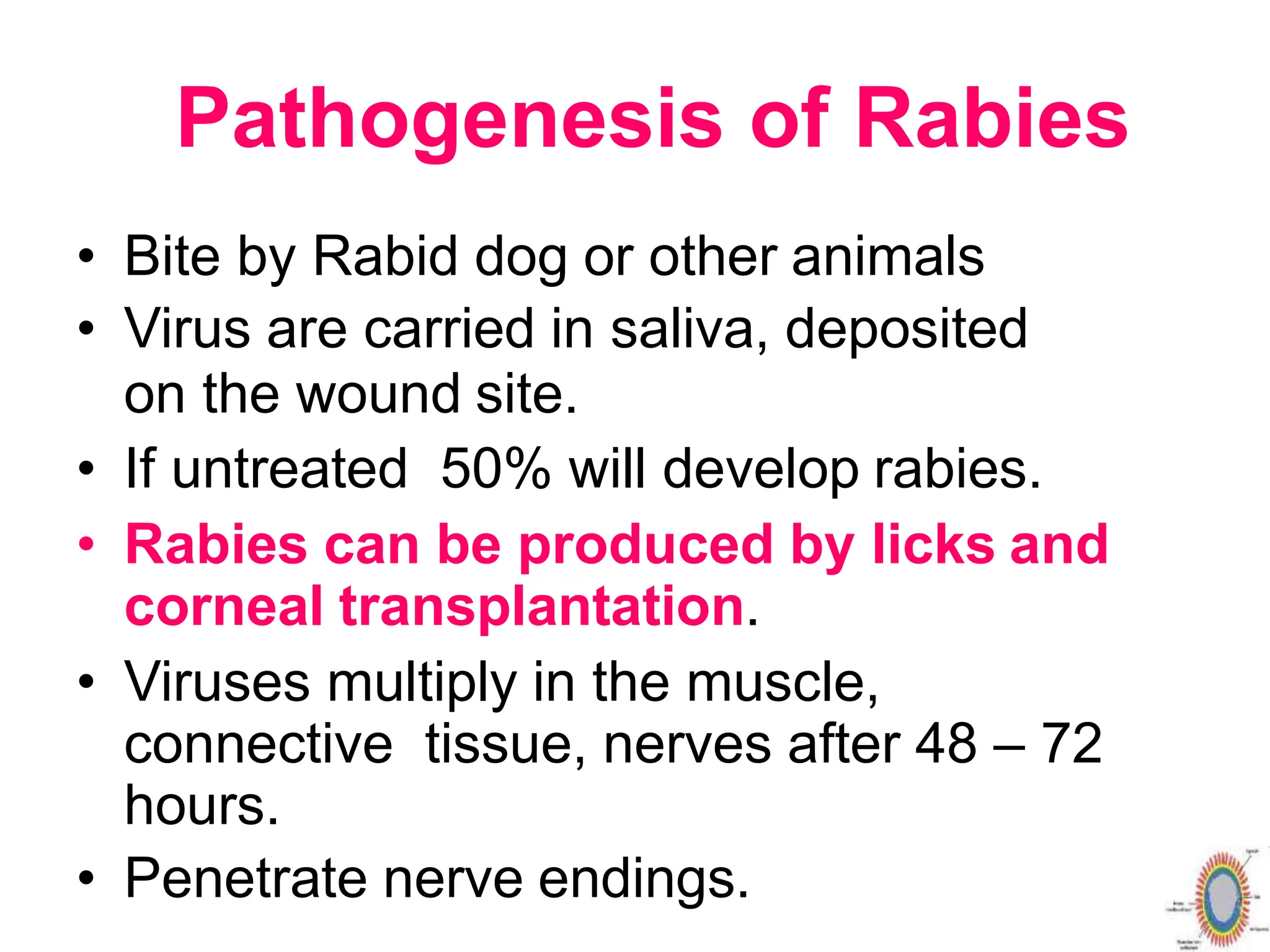 Morphology of Rabies virus and its clinical significance.pptx