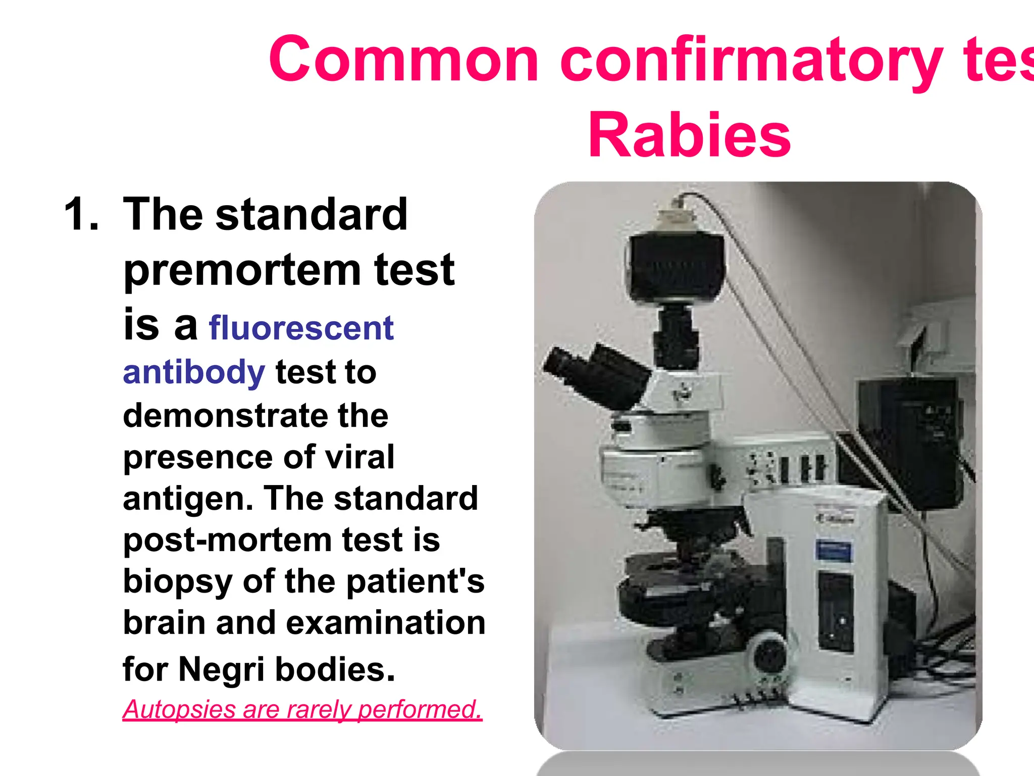 Morphology of Rabies virus and its clinical significance.pptx