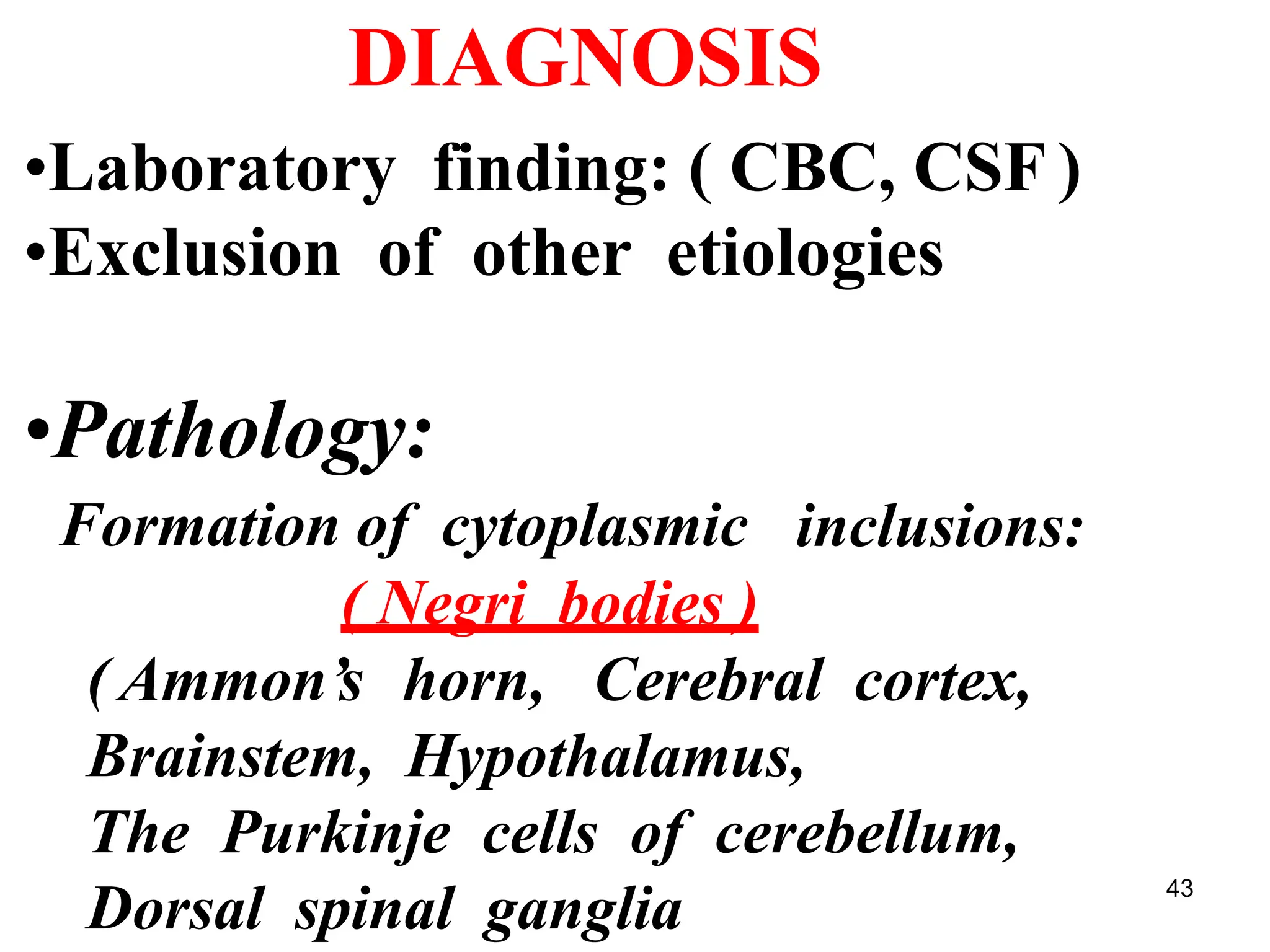 Morphology of Rabies virus and its clinical significance.pptx