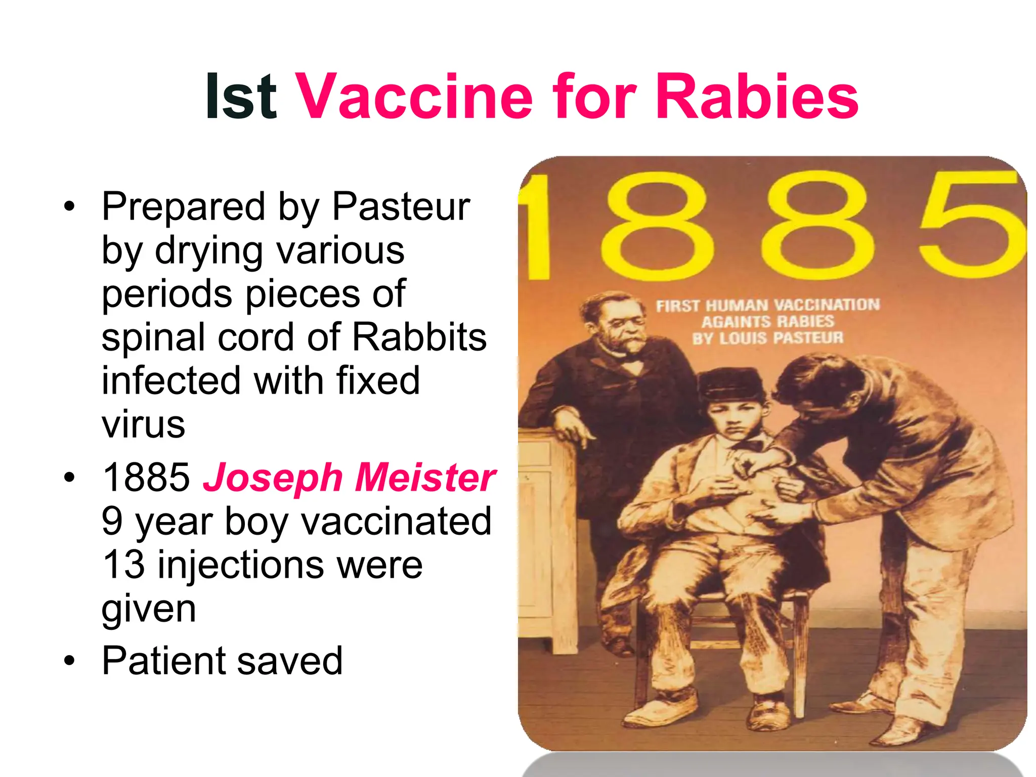 Morphology of Rabies virus and its clinical significance.pptx