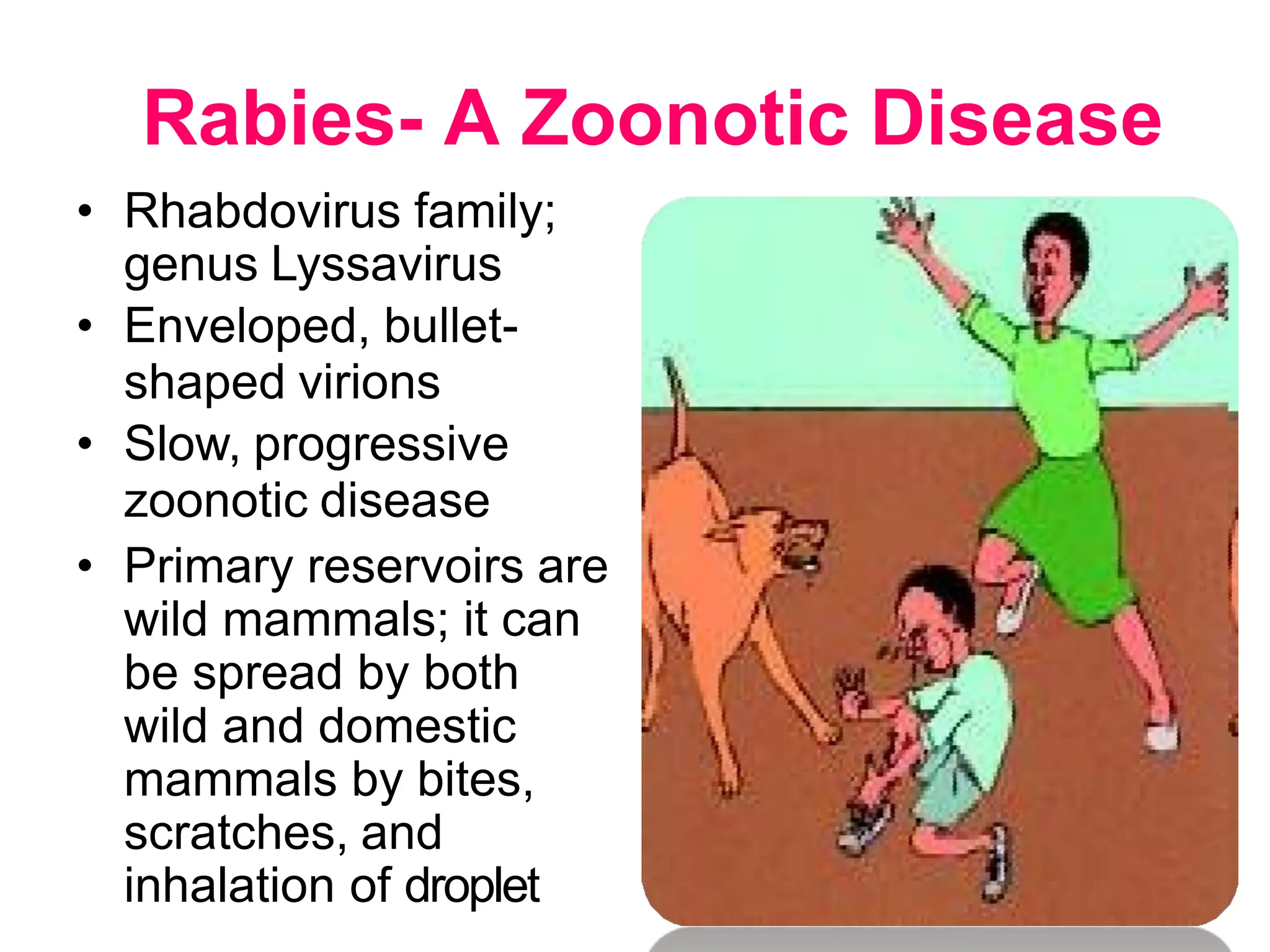 Morphology of Rabies virus and its clinical significance.pptx
