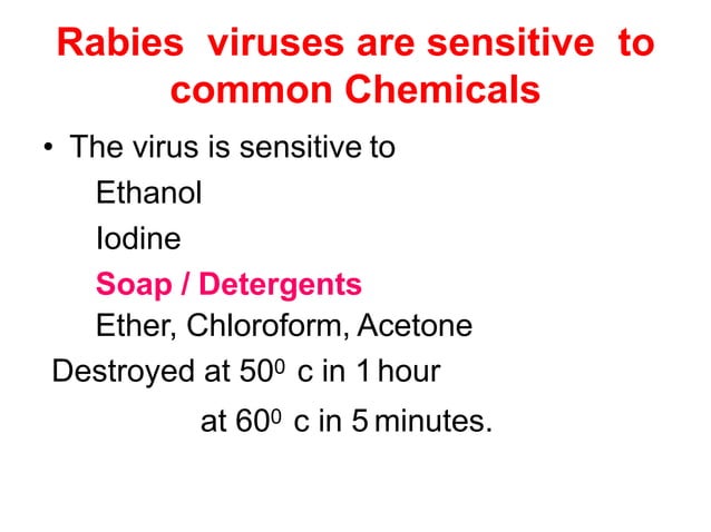 Morphology of Rabies virus and its clinical significance.pptx ...