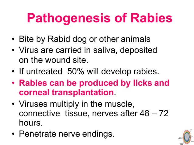 Morphology of Rabies virus and its clinical significance.pptx ...