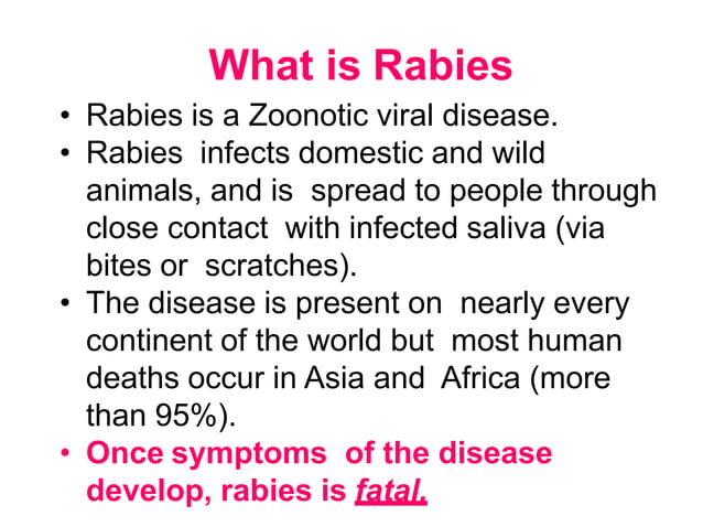 Morphology of Rabies virus and its clinical significance.pptx ...