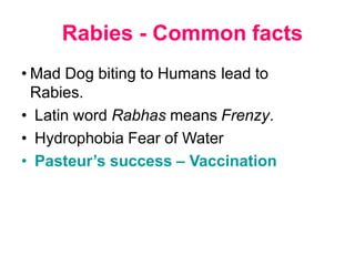 Morphology of Rabies virus and its clinical significance.pptx