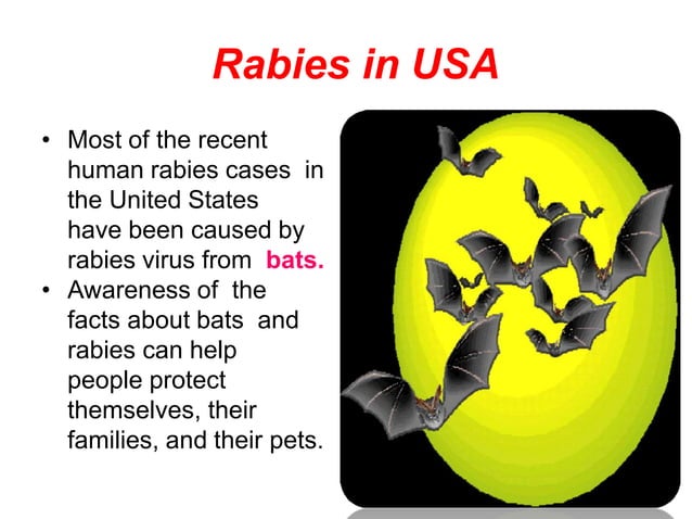 Morphology of Rabies virus and its clinical significance.pptx ...