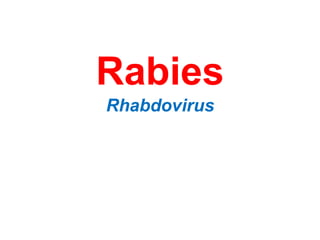 Morphology of Rabies virus and its clinical significance.pptx
