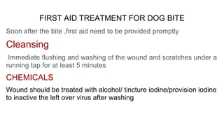 RABIES (Communicable diseases) ppt for BSC(N) | PPTX