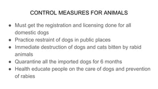 RABIES (Communicable diseases) ppt for BSC(N) | PPTX