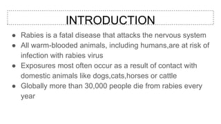RABIES (Communicable diseases) ppt for BSC(N) | PPTX