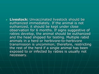 Information for veterinarians Rabies.ppt