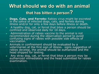Information for veterinarians Rabies.ppt