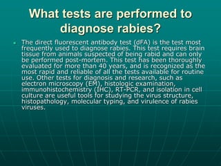 Information for veterinarians Rabies.ppt
