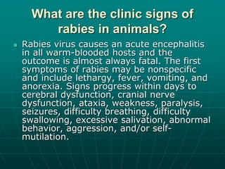Information for veterinarians Rabies.ppt