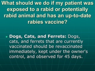 Information for veterinarians Rabies.ppt