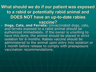 Information for veterinarians Rabies.ppt