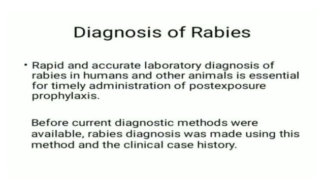 Rabies in community health education and prevention | PPT