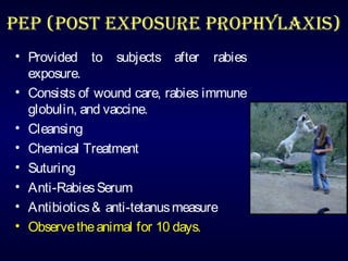 Rabies. The presentation for community medicine | PDF