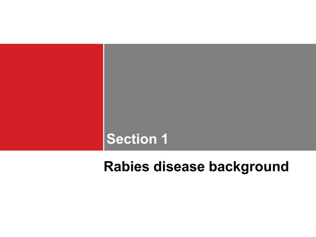 Rabies.ppt by professor Dr Nirmal sahani | PPT