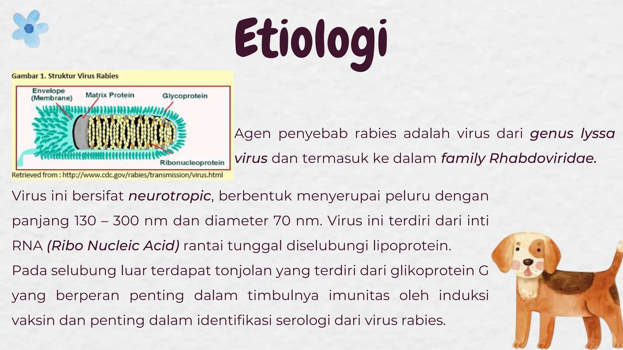 penyakit rabies berasal dari gigitan hewan | PPTX