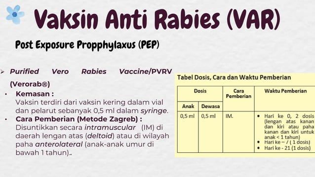 penyakit rabies berasal dari gigitan hewan | PPTX