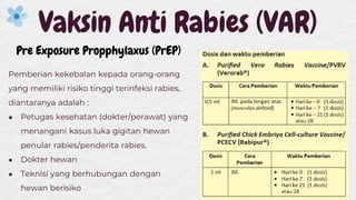 penyakit rabies berasal dari gigitan hewan | PPTX