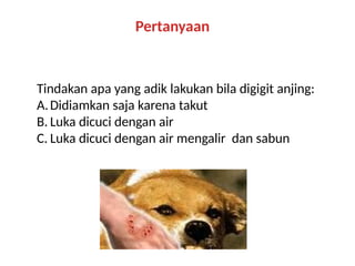 bahan presentasi penularanpenyakit Rabies.pptx