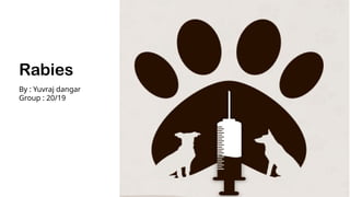 Rabies from definition to treatment all information | PPTX