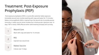 Rabies from definition to treatment all information | PPTX
