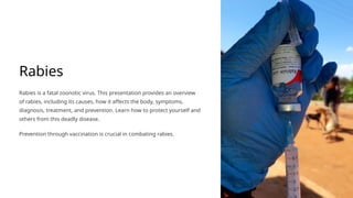Rabies from definition to treatment all information | PPTX