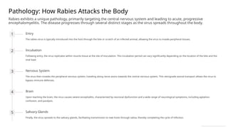 Rabies from definition to treatment all information | PPTX