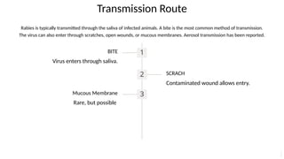 Rabies from definition to treatment all information | PPTX