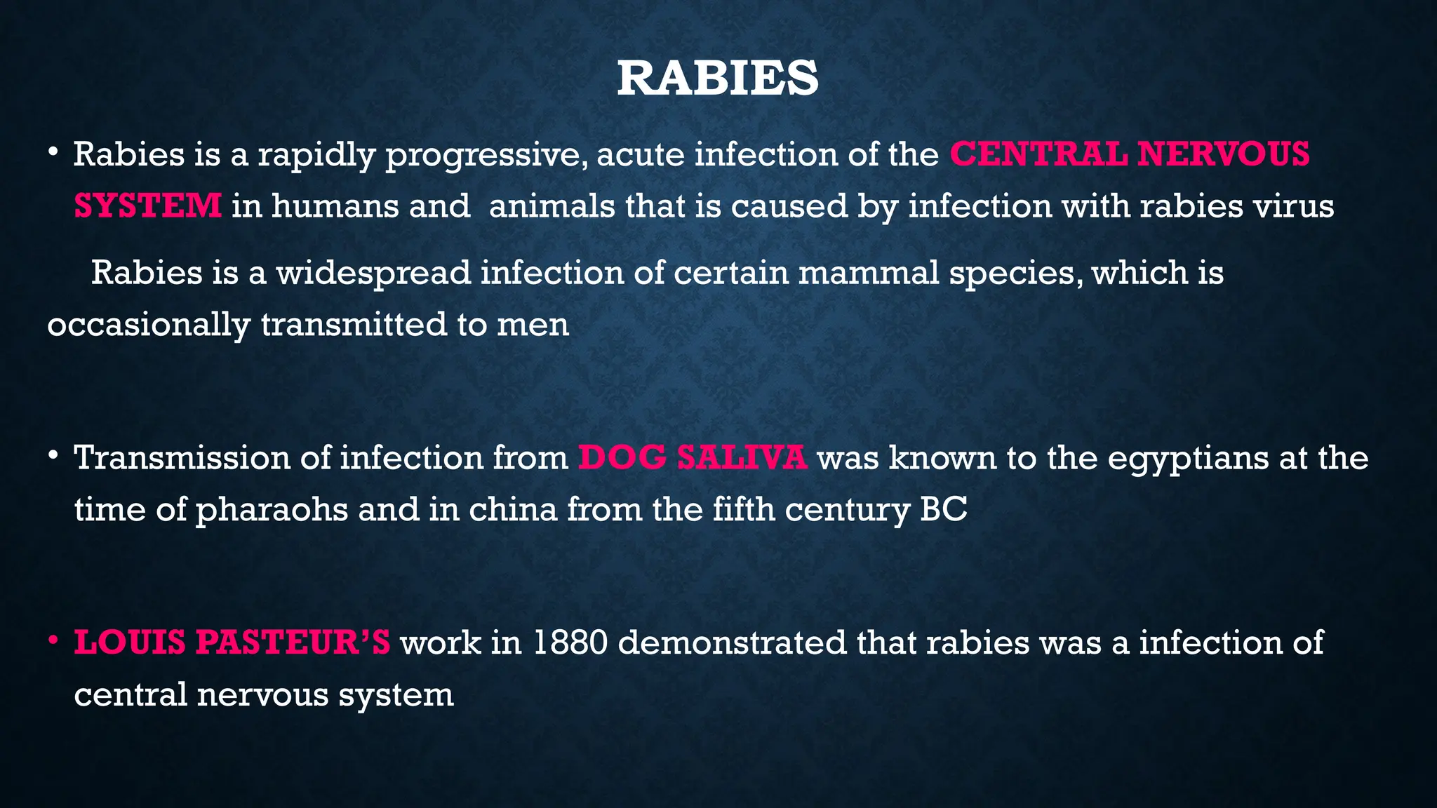 Rabies dog bite management powerpoint presentation | PPTX