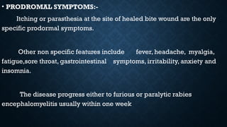 Rabies dog bite management powerpoint presentation | PPTX